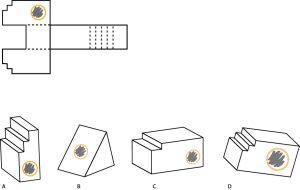 Firefighter Aptitude Test: Map Reading and Reasoning Skills PDF